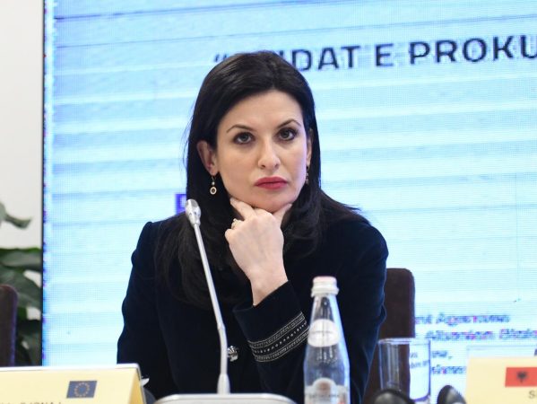 Këshilli i Integrimit, Gjonaj: Procesi i Vettingut po ecën me ritme të ...