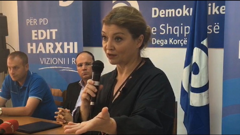 Edit Harxhi: PD në opozitë, në qendër nuk dëgjohet fjala e degëve - www ...