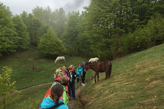 Turizmi malor, dhjetra turistë të huaj në Theth - www.lexo.al