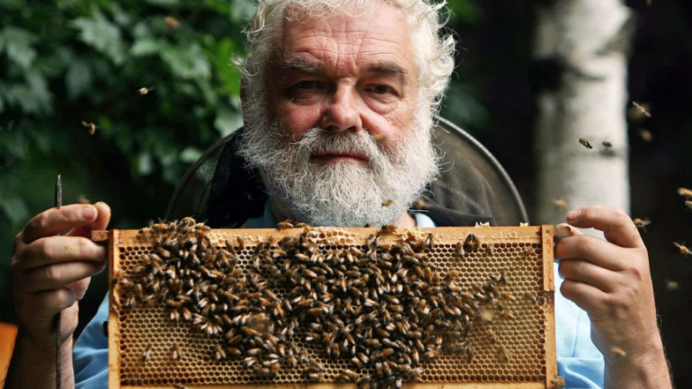 Bletët mbretërore njoftohen për vdekjen e Elizabeth II, ja pse bëhet ky ...